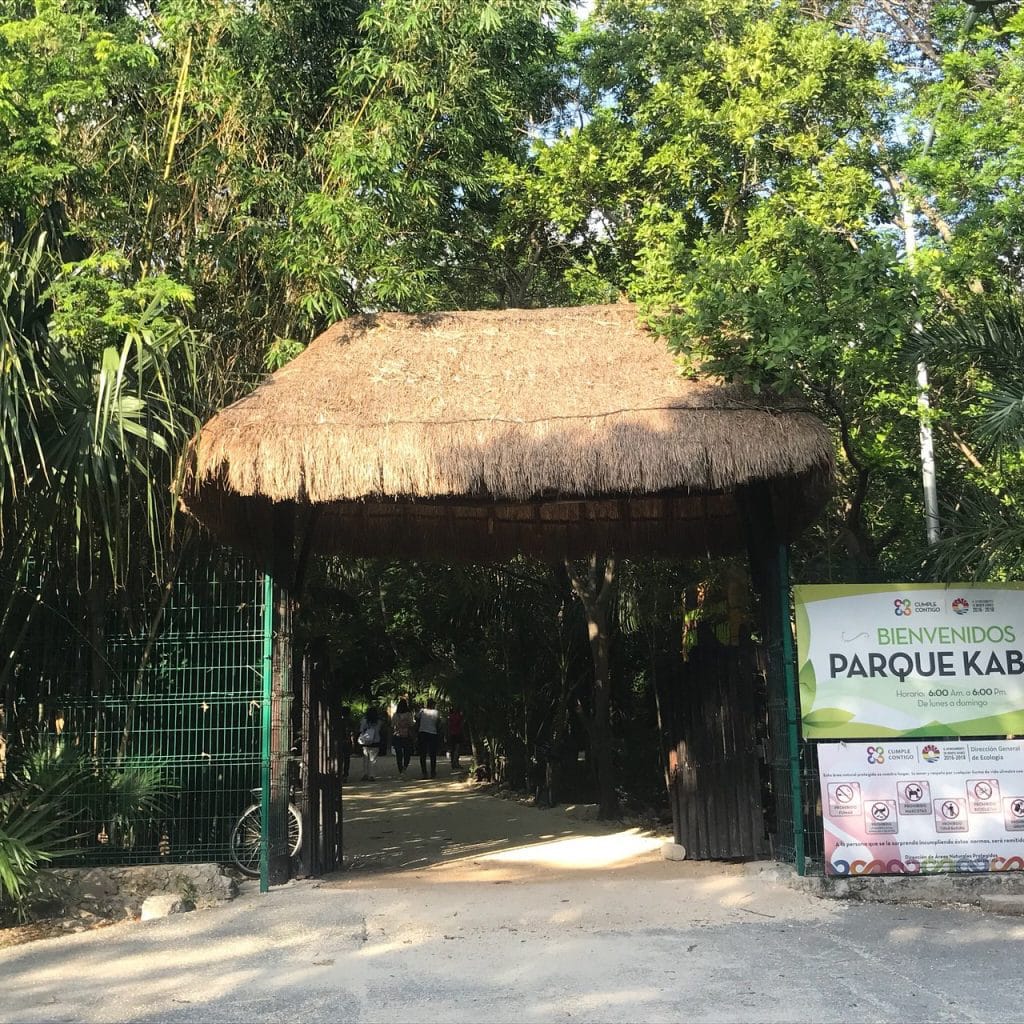 Parque Kabah con el 50% de visitas diarias desde su reapertura ...